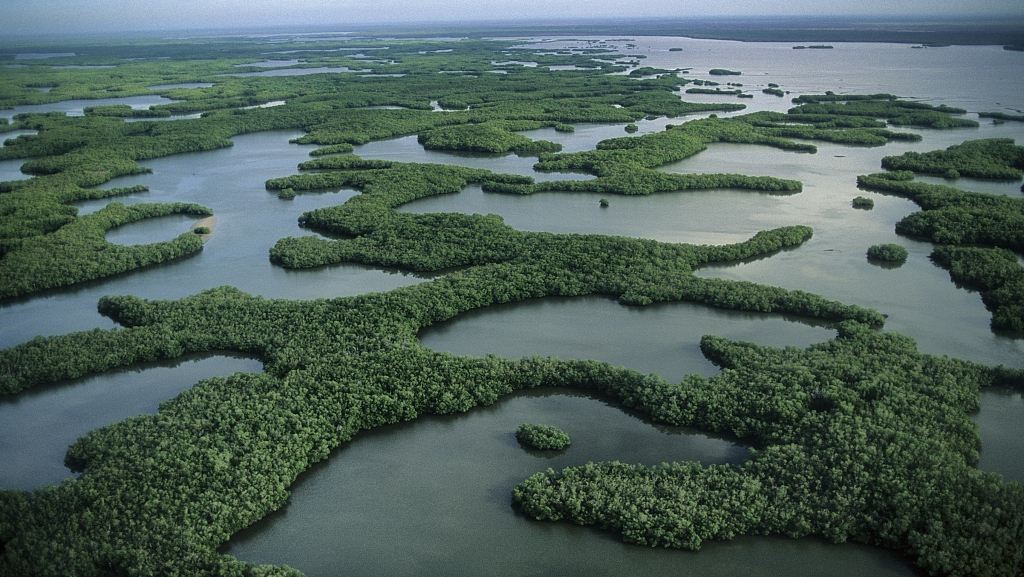 Methane Removal Intro — Spark Climate Solutions