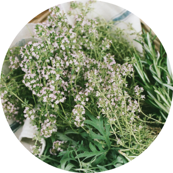 Botivo | Lannock Farm