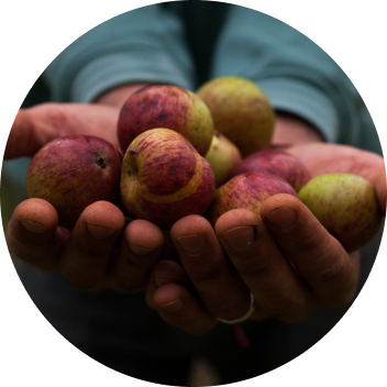 Botivo | Lannock Farm