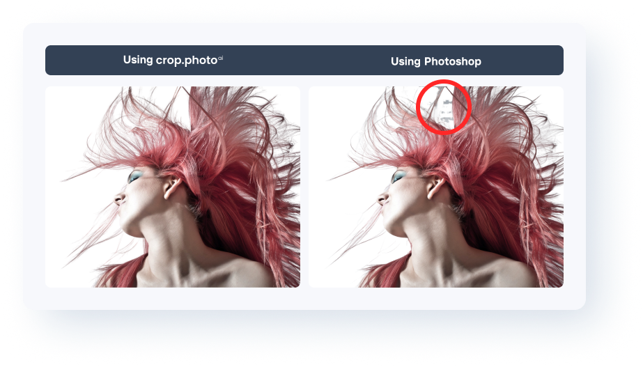 Pixelz vs Crop.photo AI: Comparing Best Batch Photo Editors ...