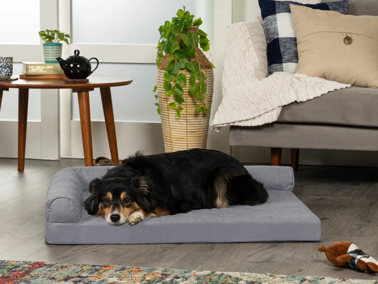 Comfort for Your Furry Friend with a Dog Couch | National Assemblers