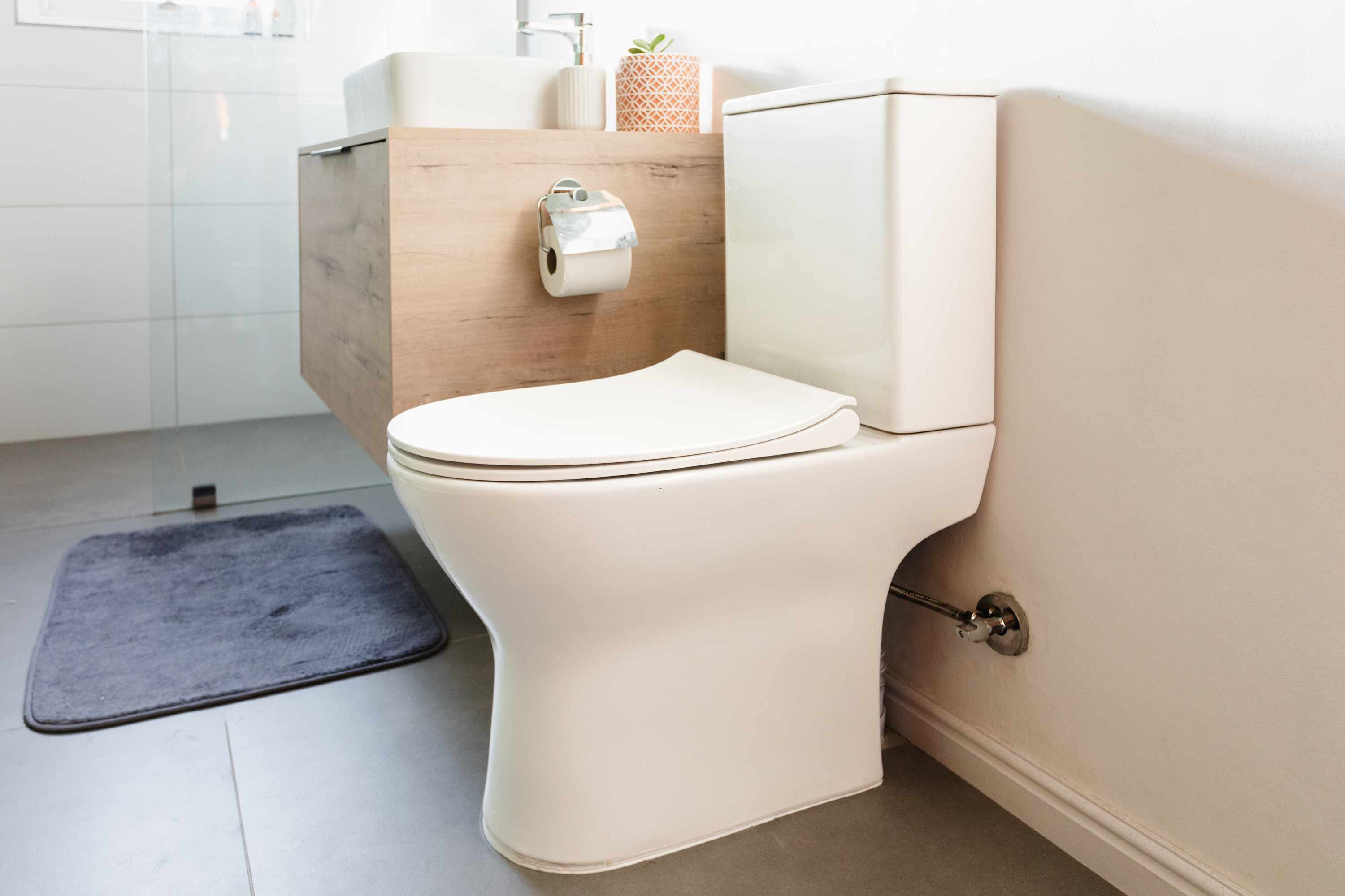 Toilet Selection: A Complete Guide | National Assemblers