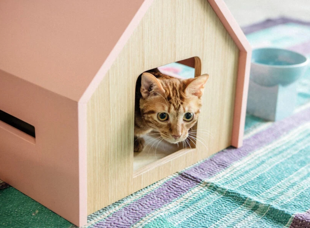 Choosing the Perfect Cat House | National Assemblers