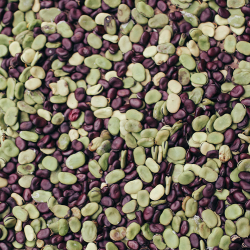 Limabohnen| myDigitalTwin - Lebensmittel