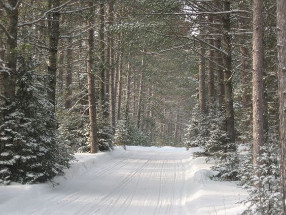 Trailhead Adventure - Off-Road ATV Side-by-Side Rentals - Rice Lake, WI