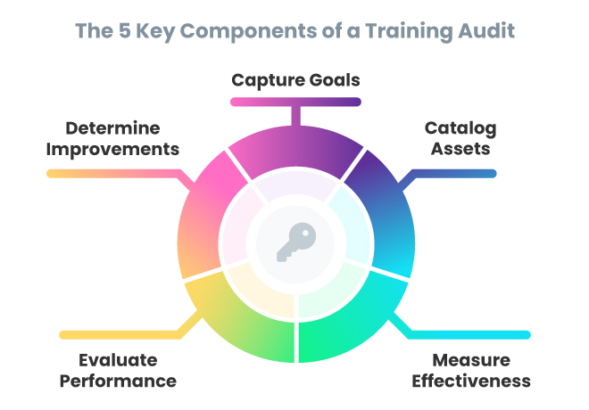 What is a training audit? Why is your training audit important?