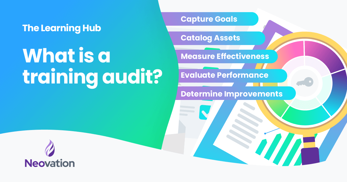 What is a training audit? Why is your training audit important?