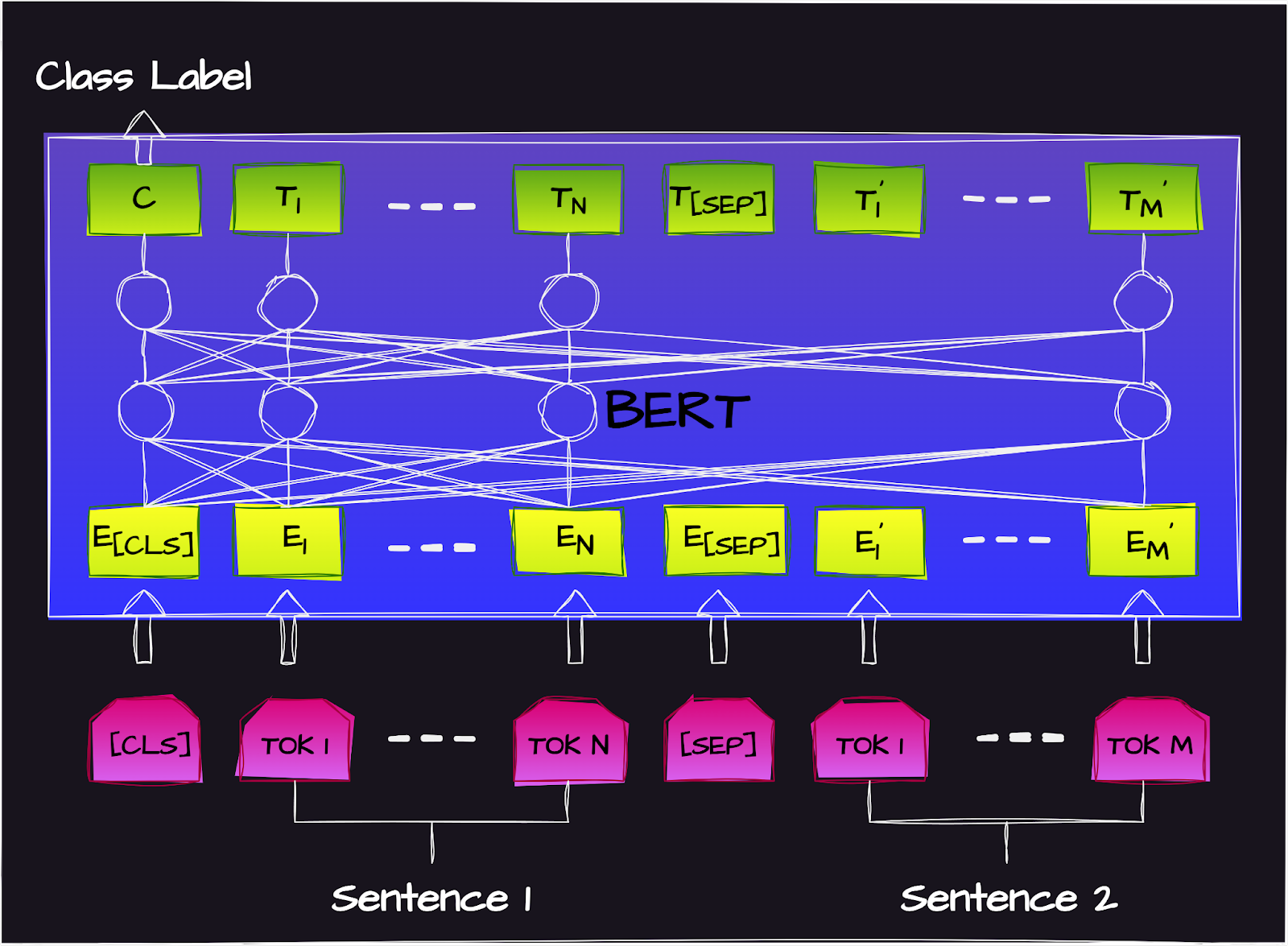 How to Classify Long Documents and Texts with BERT Models