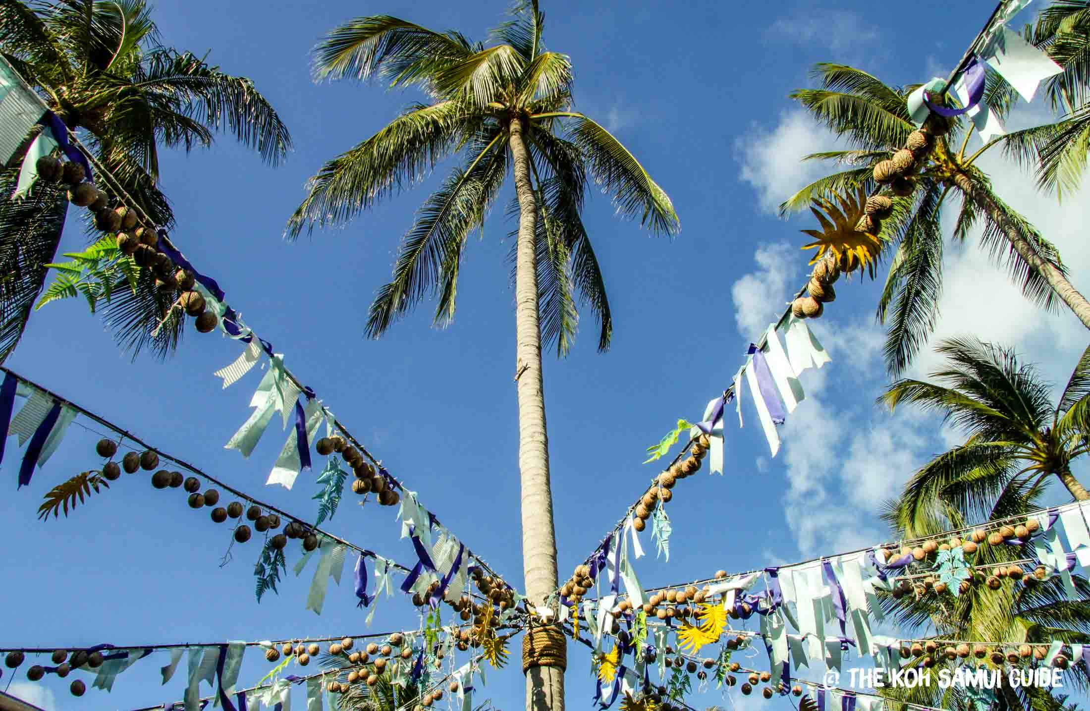 Koh Samui in February: Weather, What to Expect and January FAQs