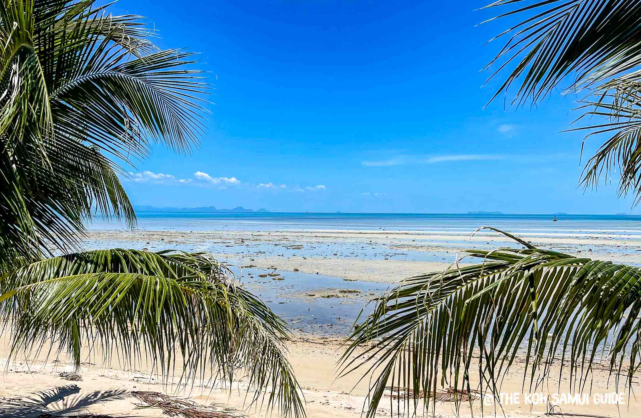 Koh Samui vs Phuket? Every Which Way to Choose Where in Thailand