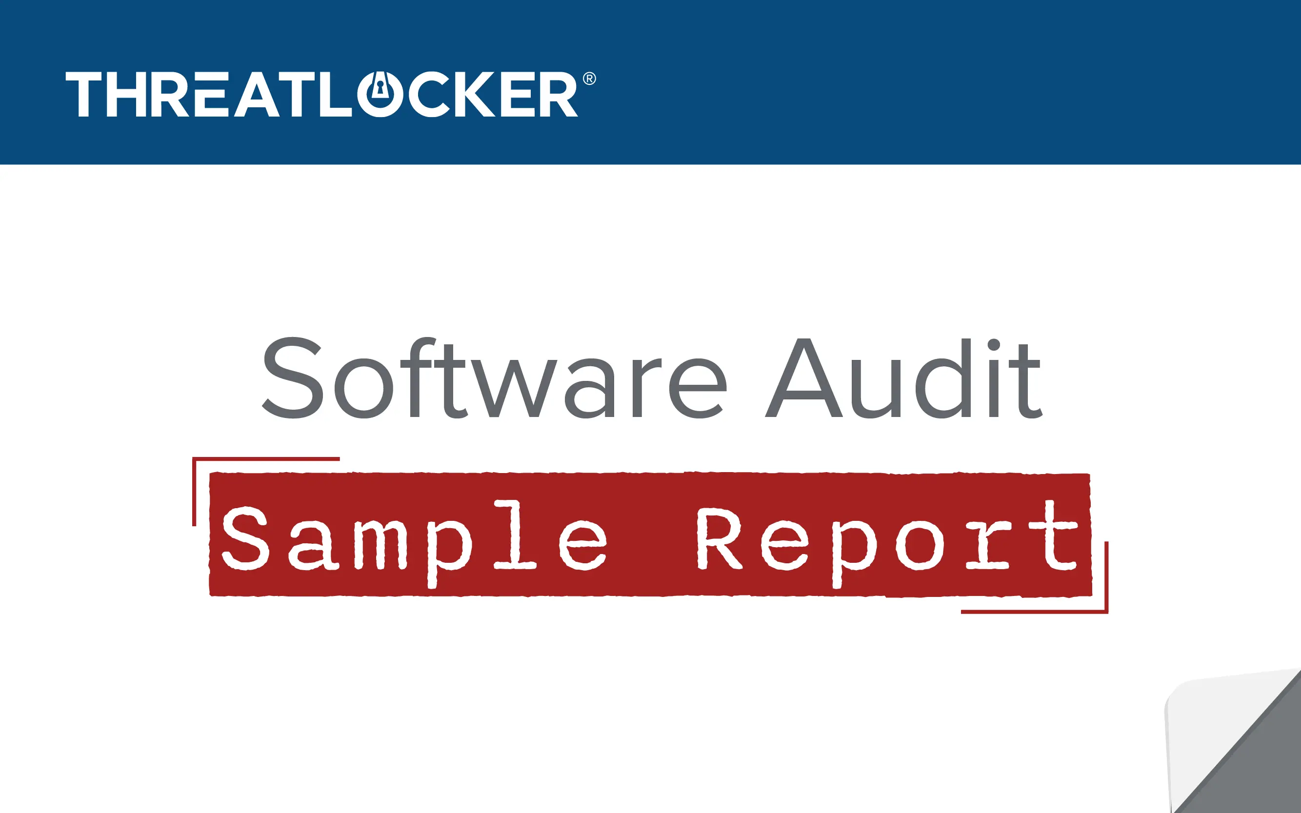 Software Audit Report Sample