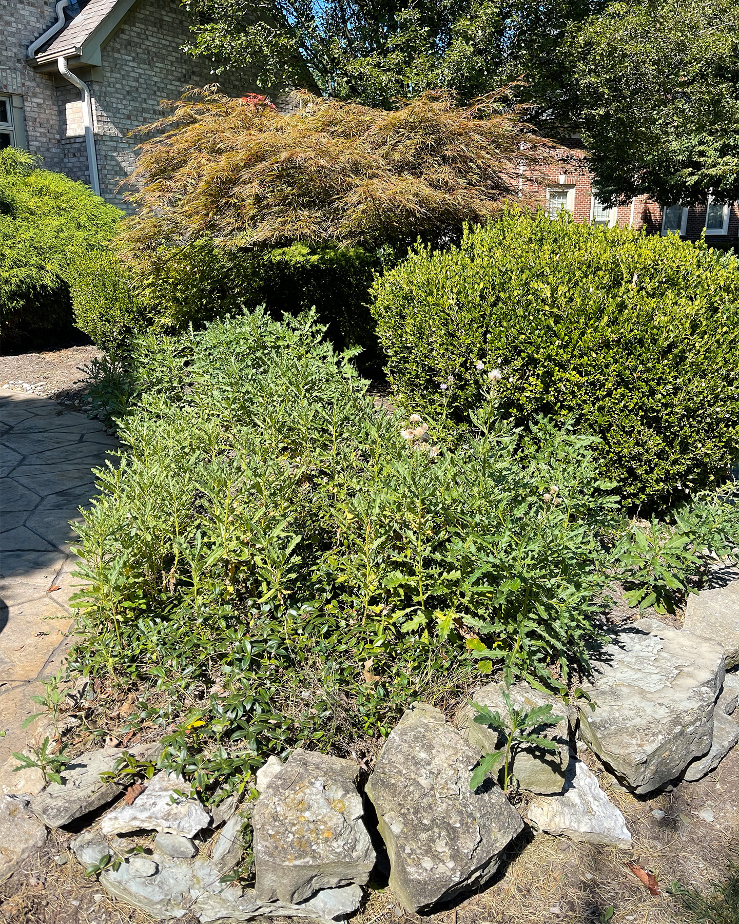 Complete Garden Makeover