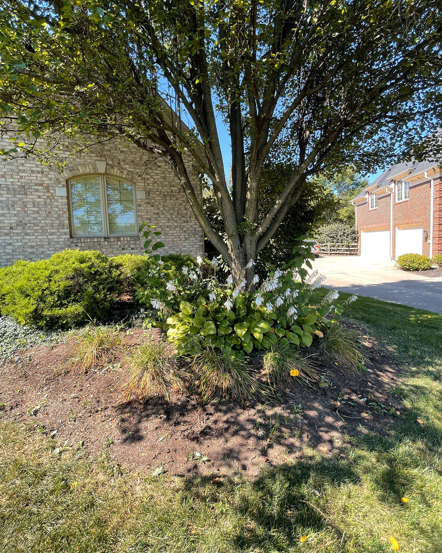 Complete Garden Makeover