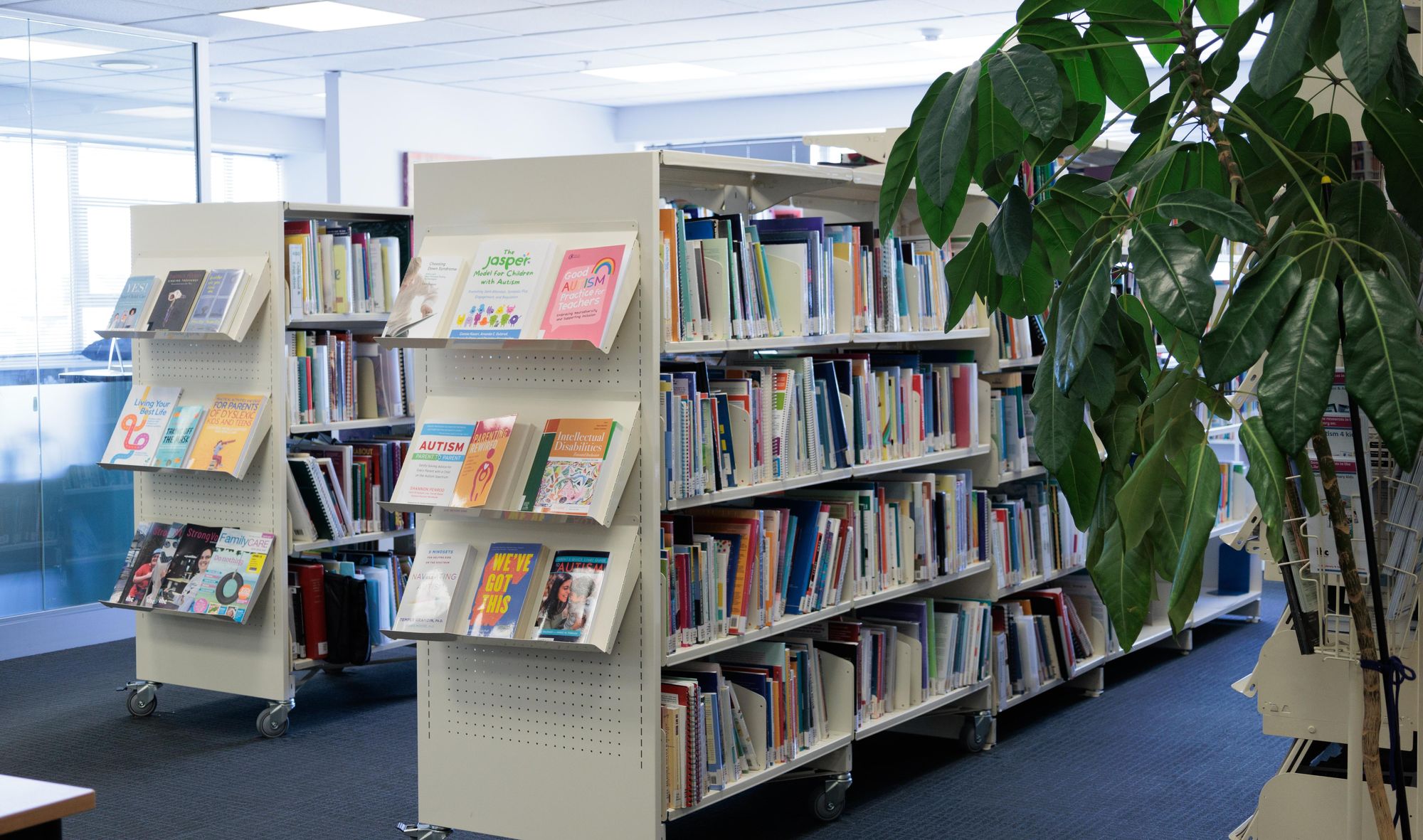 Learn - collection testing