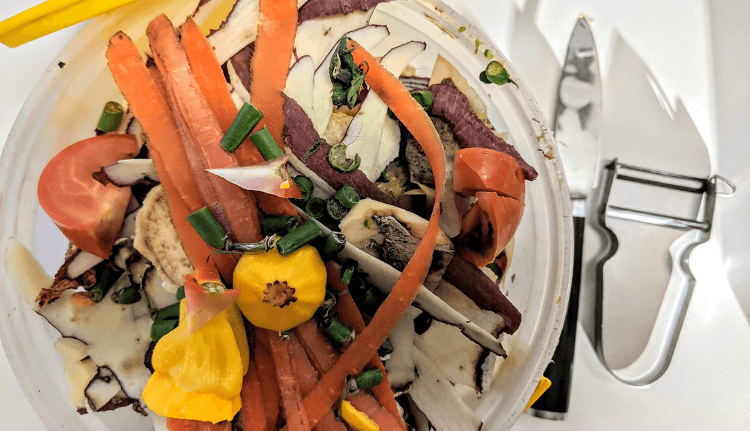 What is a small anaerobic digester?