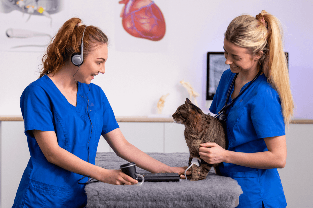 Ceva Animal Health | trimble group, UK