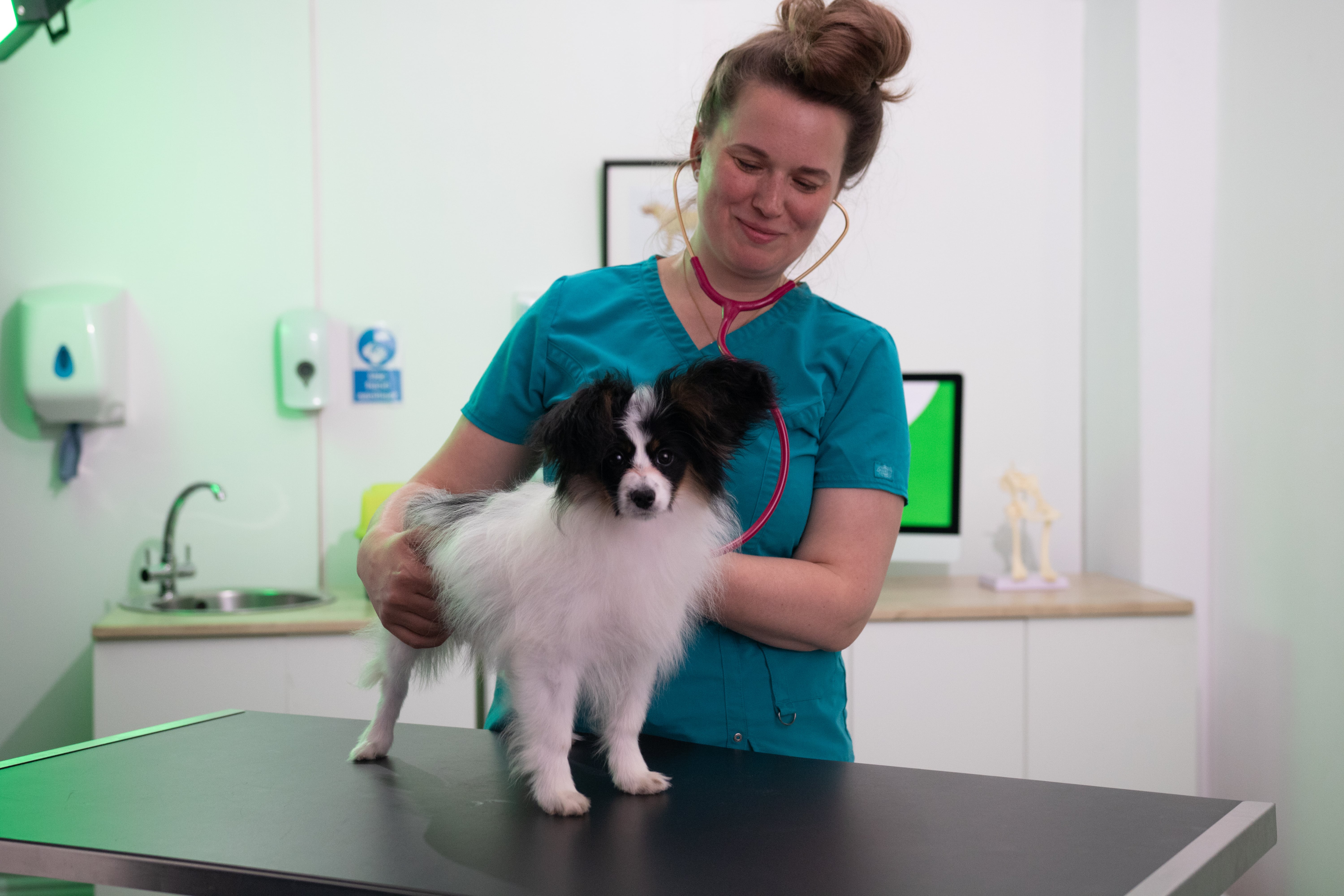 Vets for Pets Graduate Programme | trimble group, UK