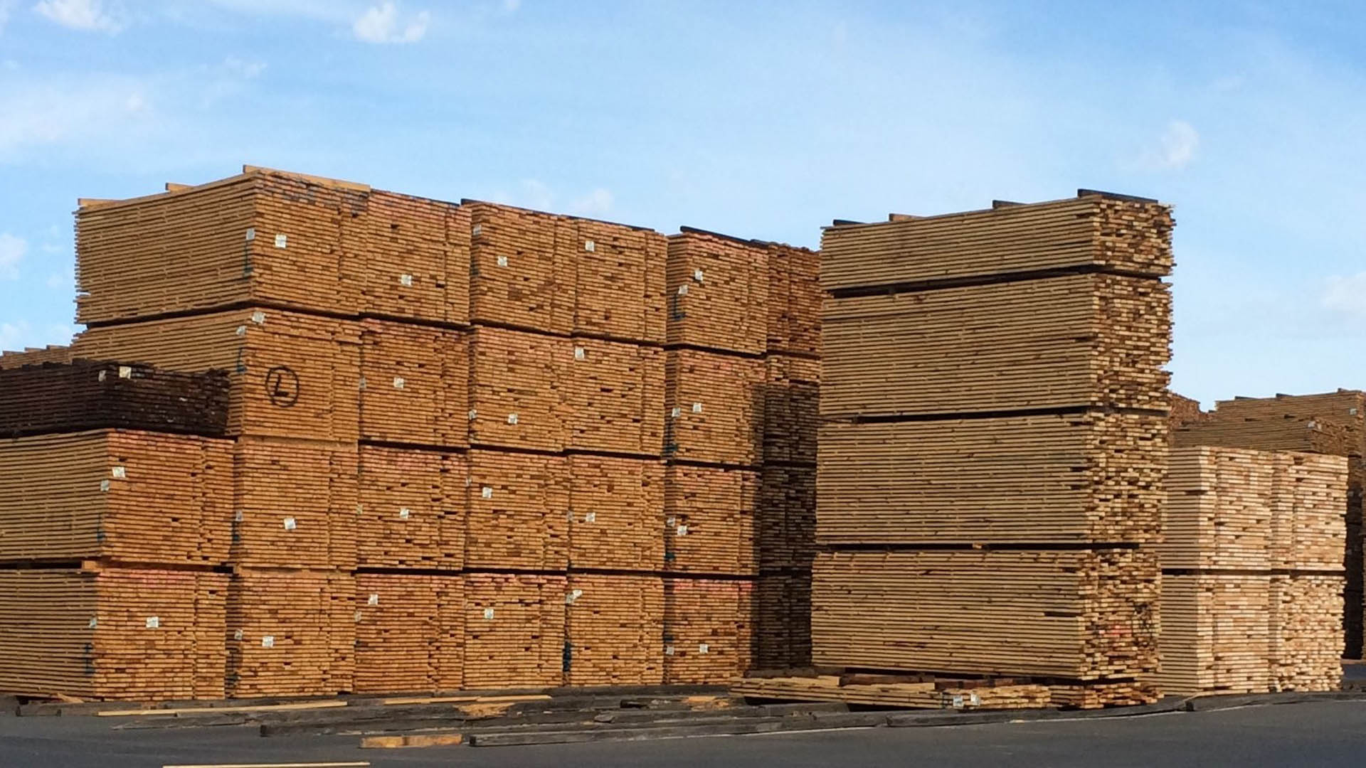 Timber and Forestry Opportunities | Invest South West