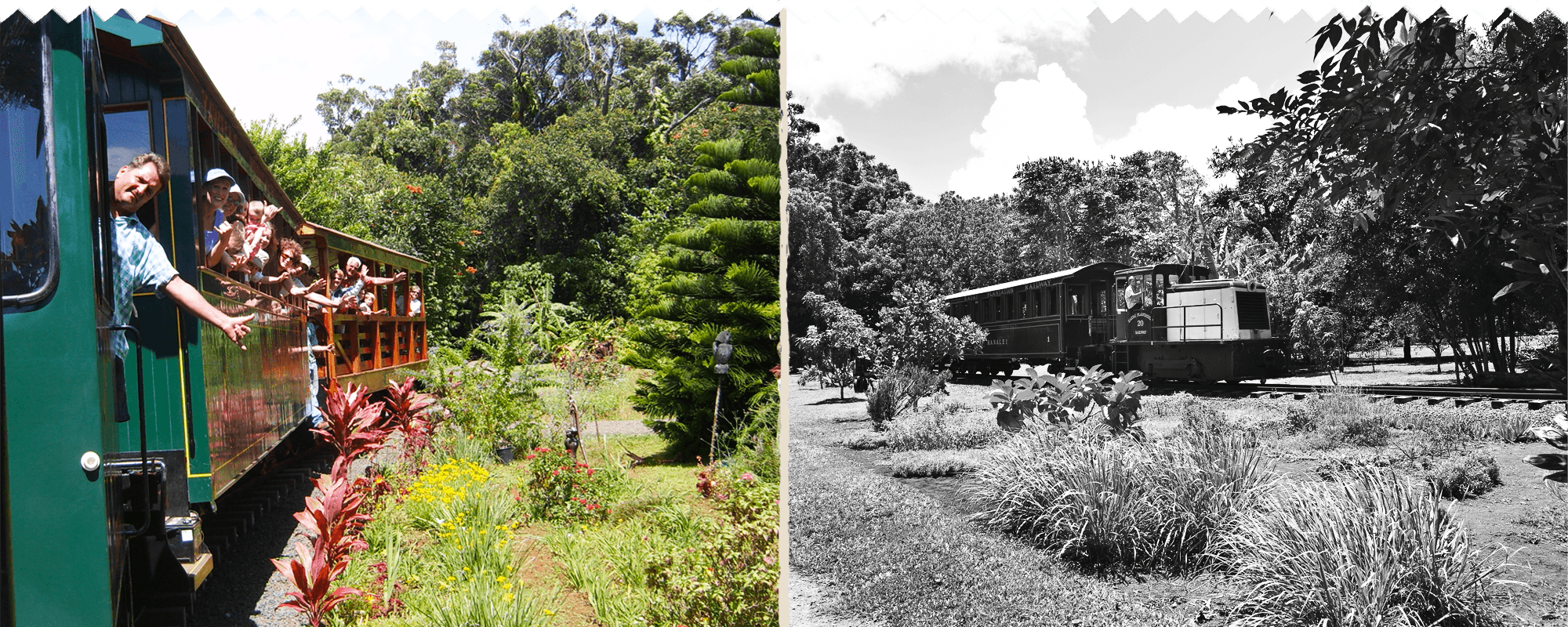 Plantation Train