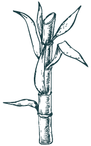 Luau Kalamaku Kilohana