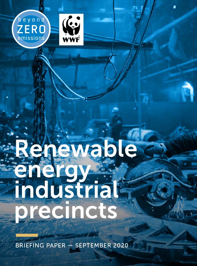 Renewable Energy Industrial Precincts (REIPs)