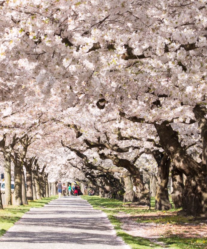 Luxury Later Living at Northbrook Avon Loop