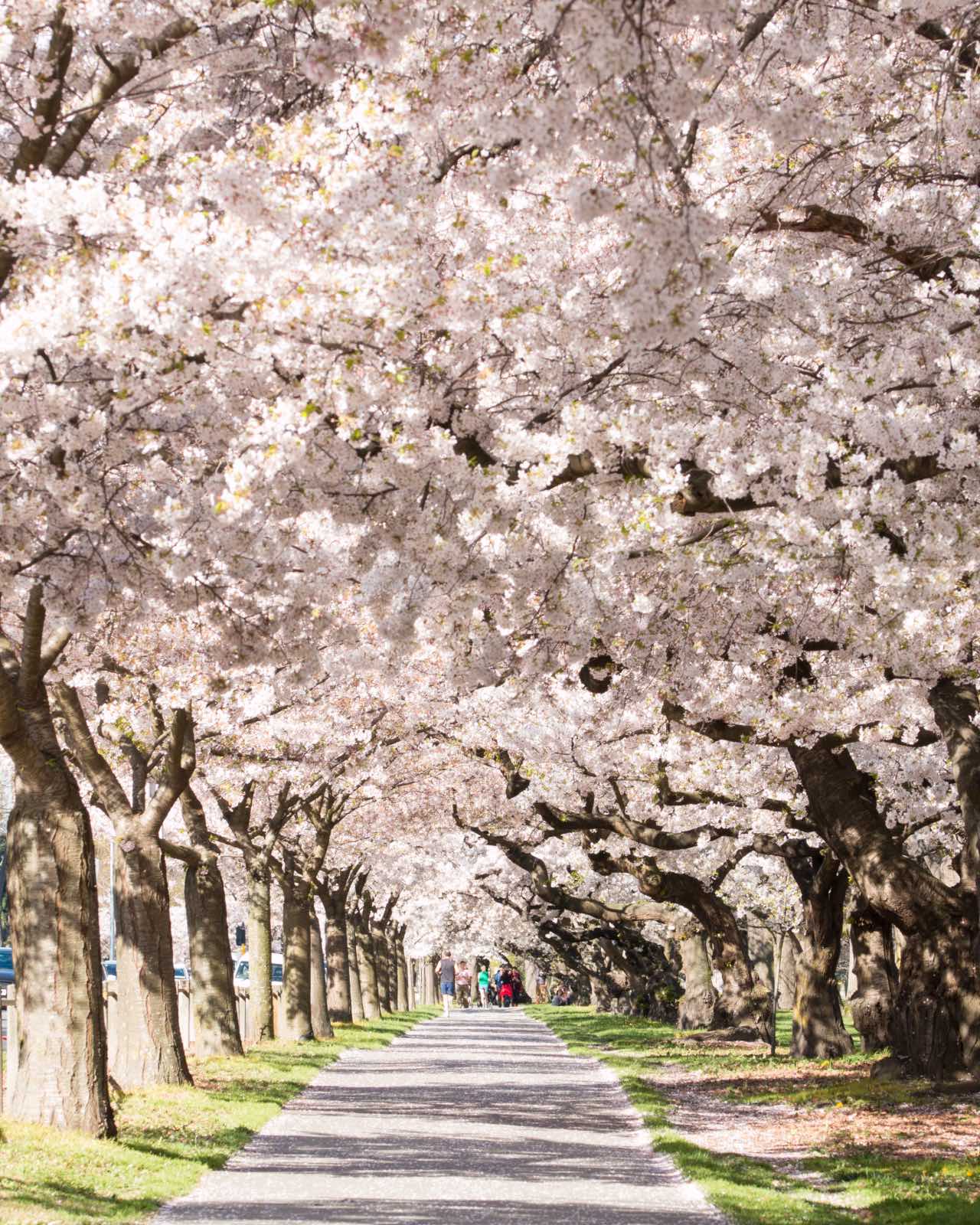 Luxury Later Living at Northbrook Avon Loop