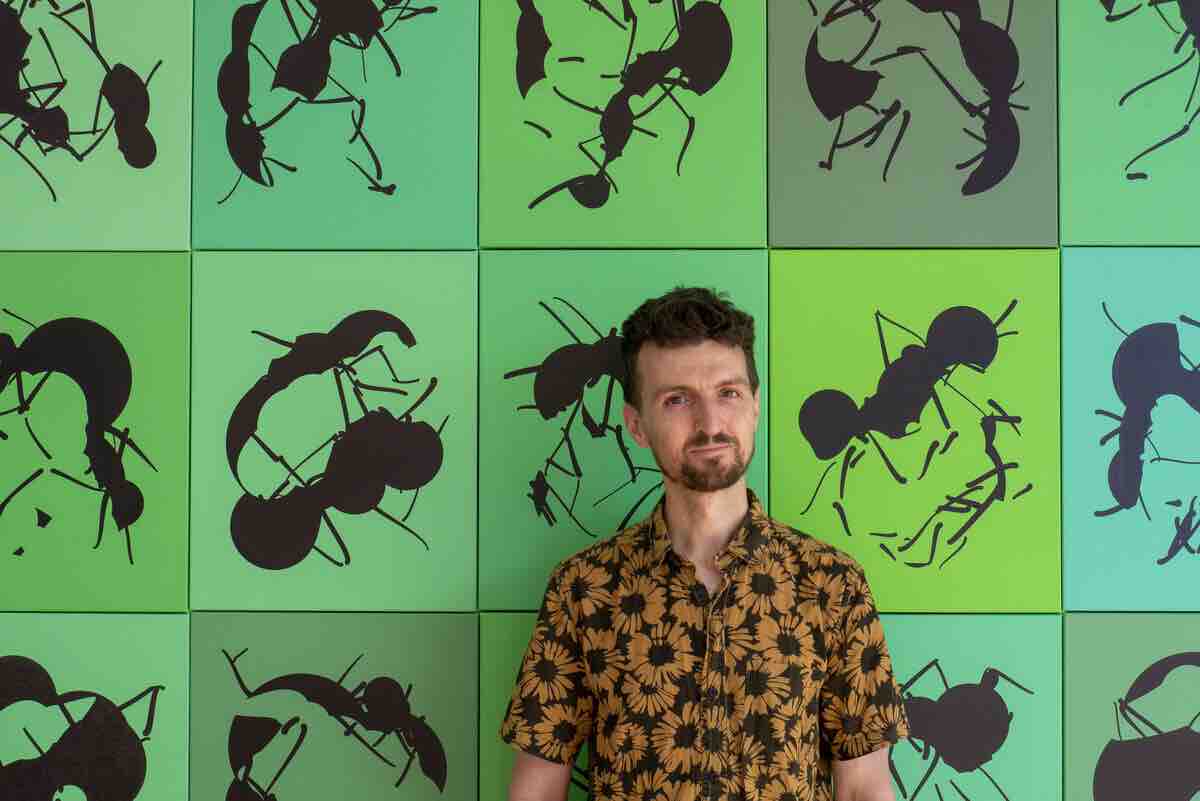 Tom White - Artist Profile - Le Random