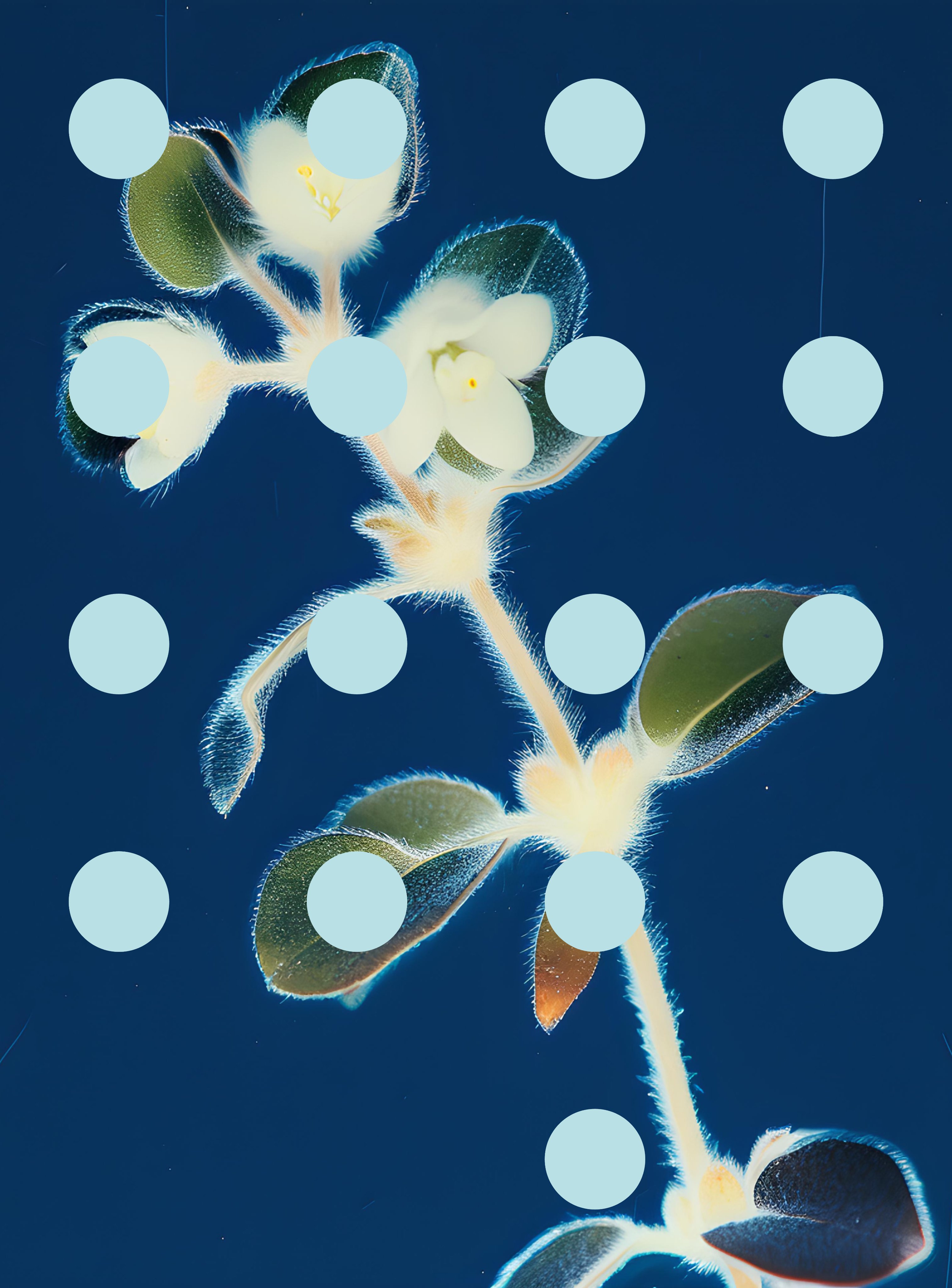 Linda Dounia on Memory Machines - Editorial - Le Random