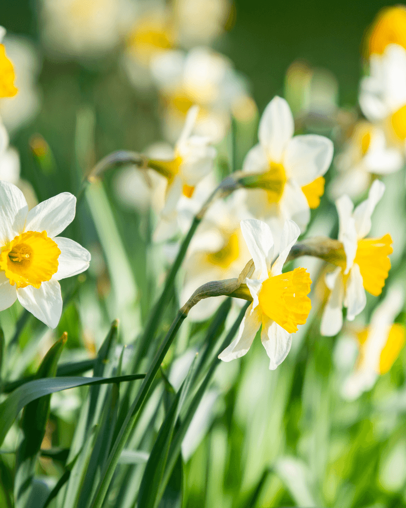 At The Well | Jewish Wisdom & Wellness