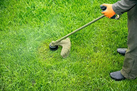 Premier Landscape Maintenance Provider | Copper State Lawn & Landscape