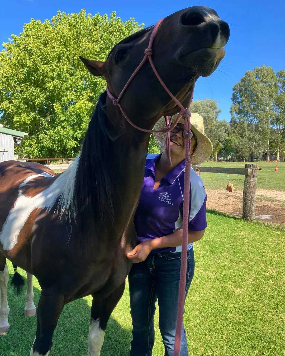 Contact - SJ's Equine Bodyworks | Equine Tension Release Therapy & Reiki