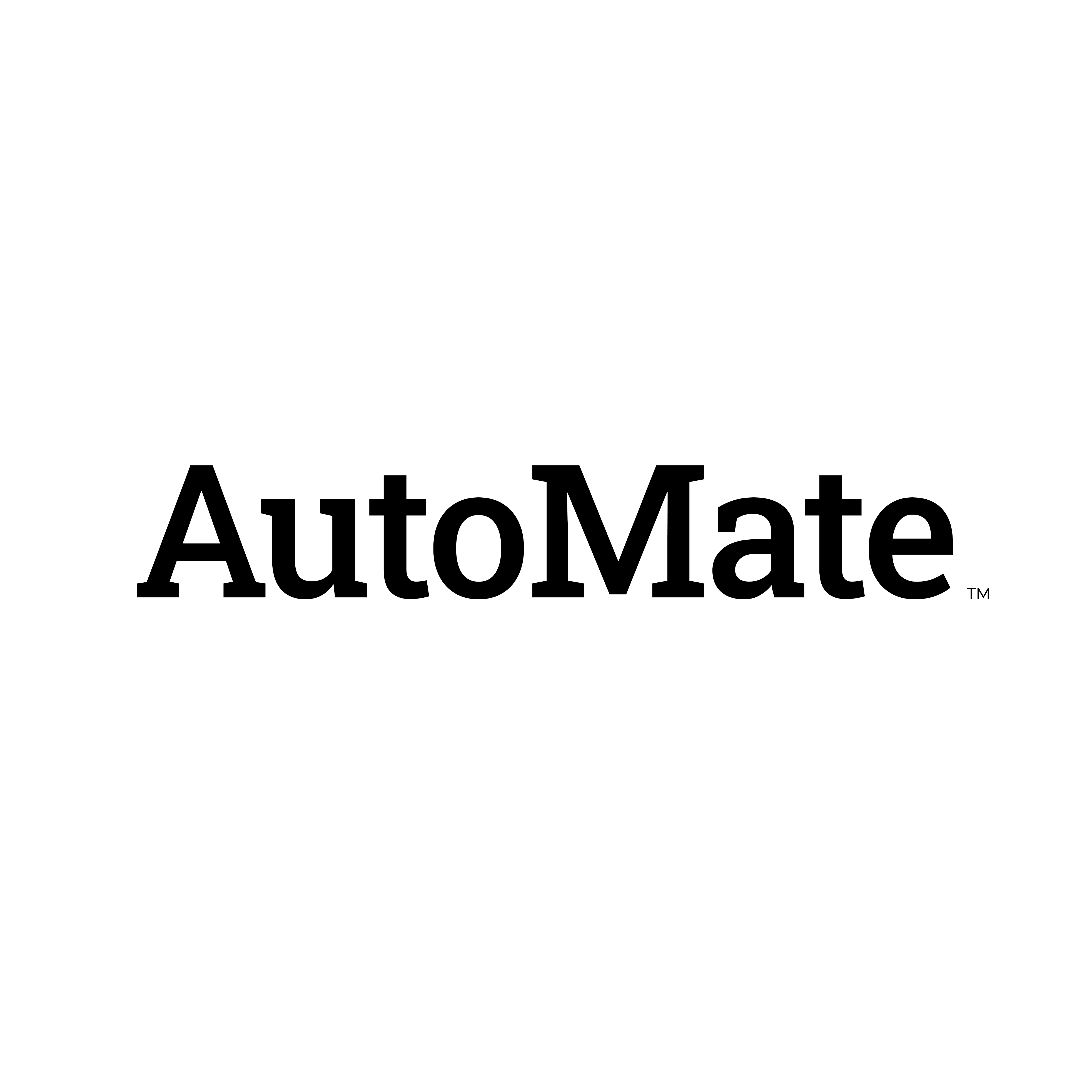 AutoMate - Vacation Rental AI
