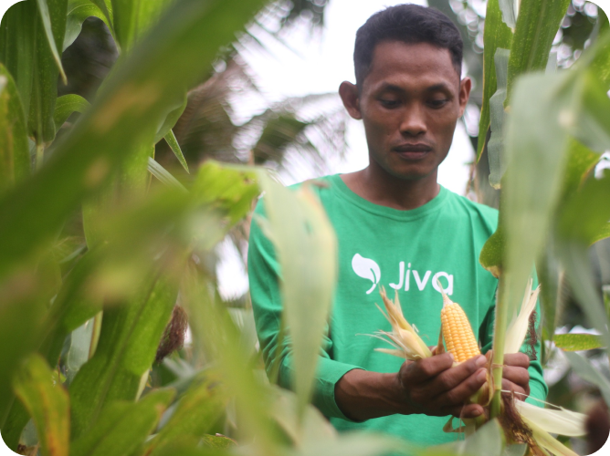 Jiva Indonesia - Andalan petani indonesia!