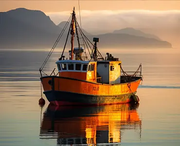 Fish Shredders Grinders | Seafood Processing Equipment