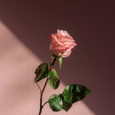 SunValue: Solar Solutions for Your Home