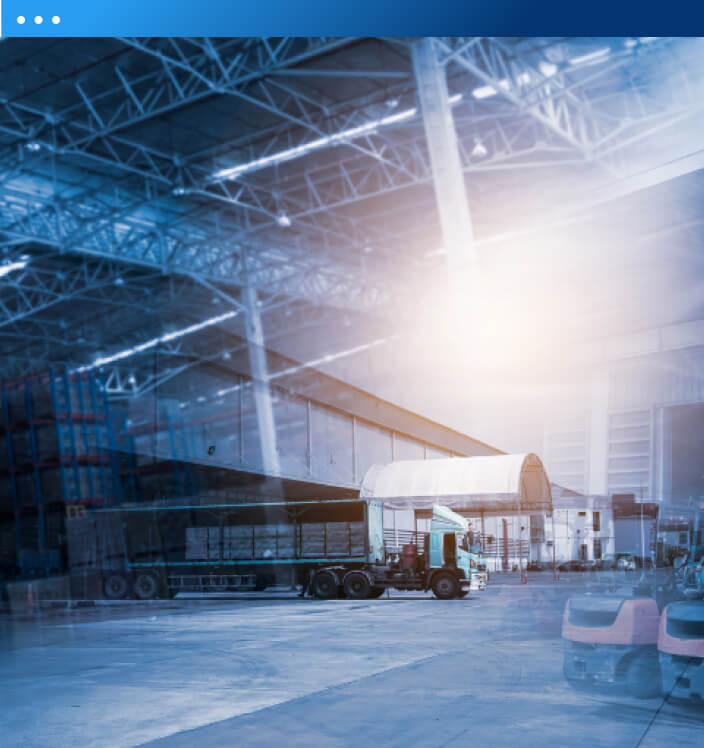 Netsuite ERP Transport and Logistics Management Software | Optimize ...