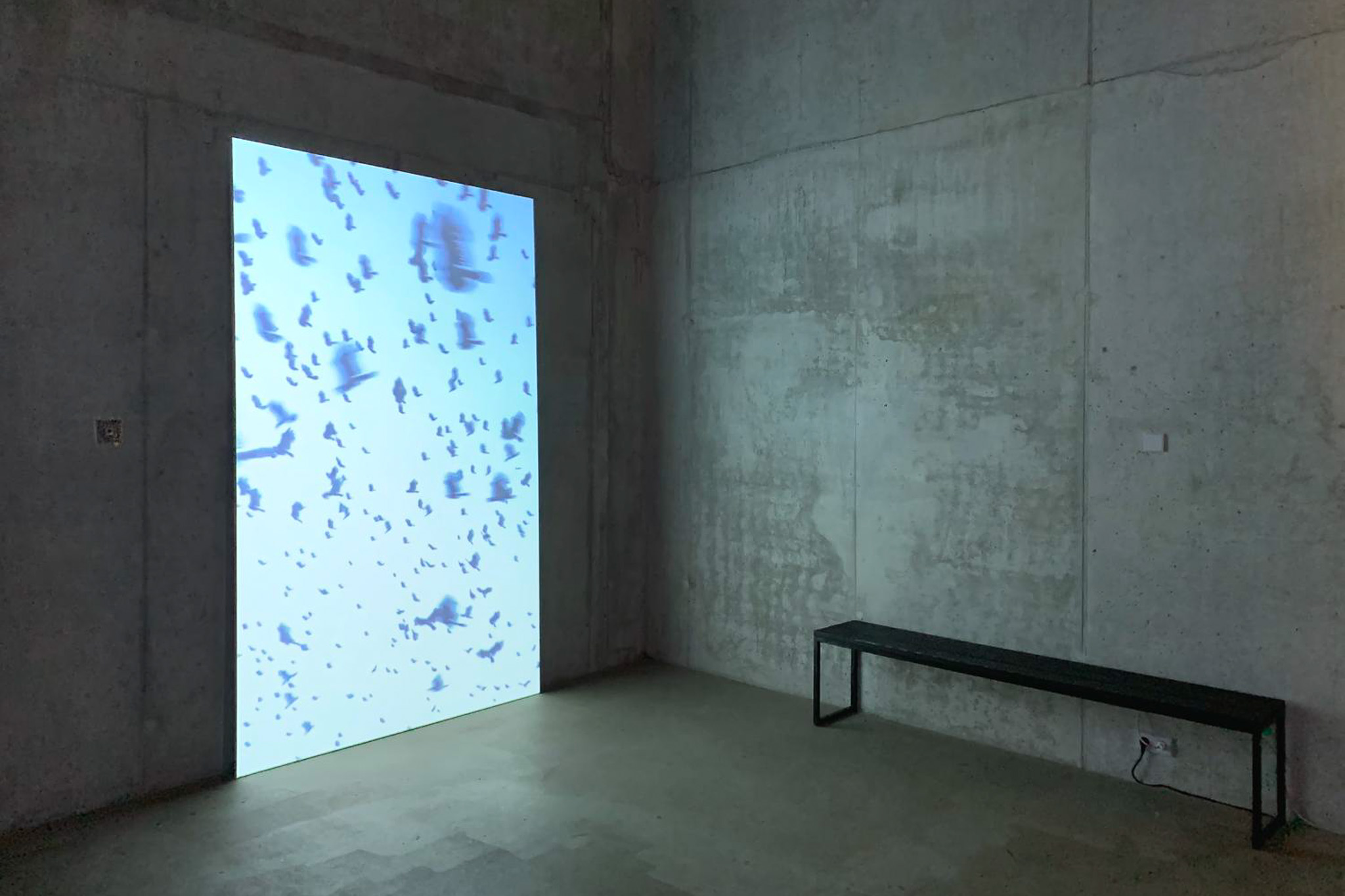 Closed Loop / Scrying Mirror