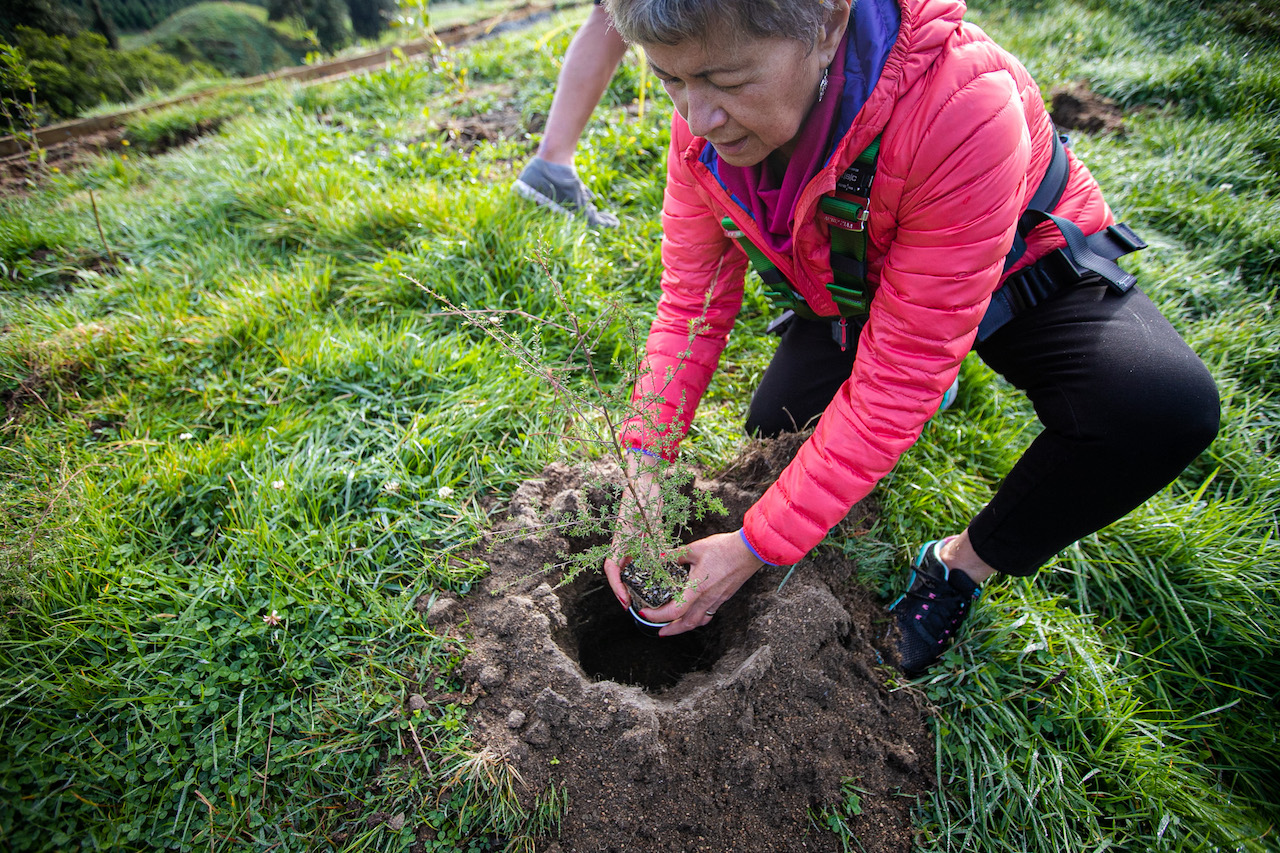 Eco-Tourism in Rotorua: Rotorua Ziplines' Commitment to Sustainability ...