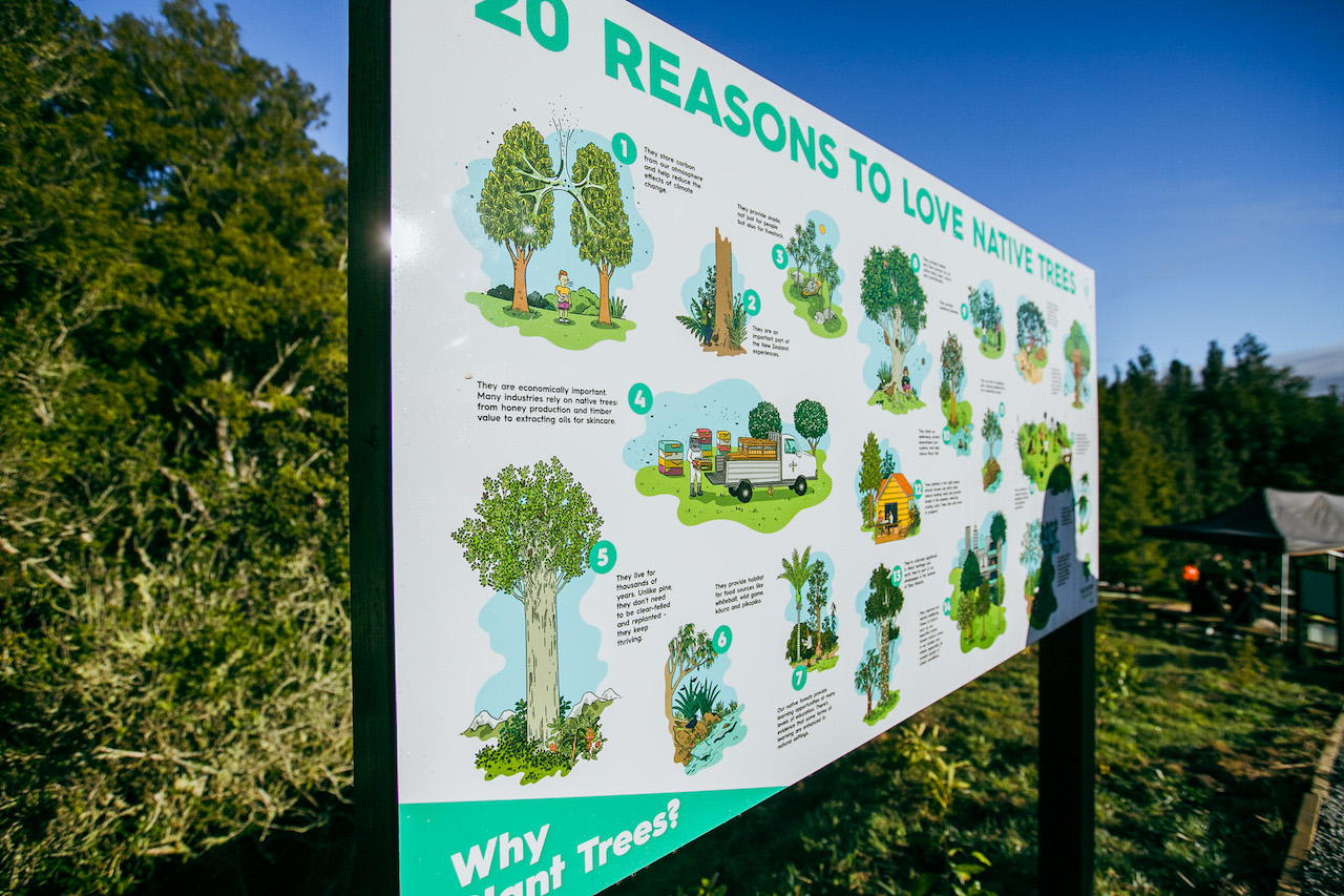 Eco-Tourism in Rotorua: Rotorua Ziplines' Commitment to Sustainability ...