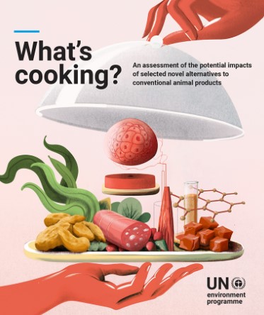 What’s Cooking: UNEP’s Special Edition Frontiers Report 2023