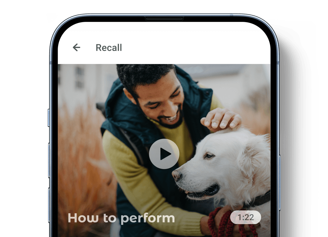Get Dogo app