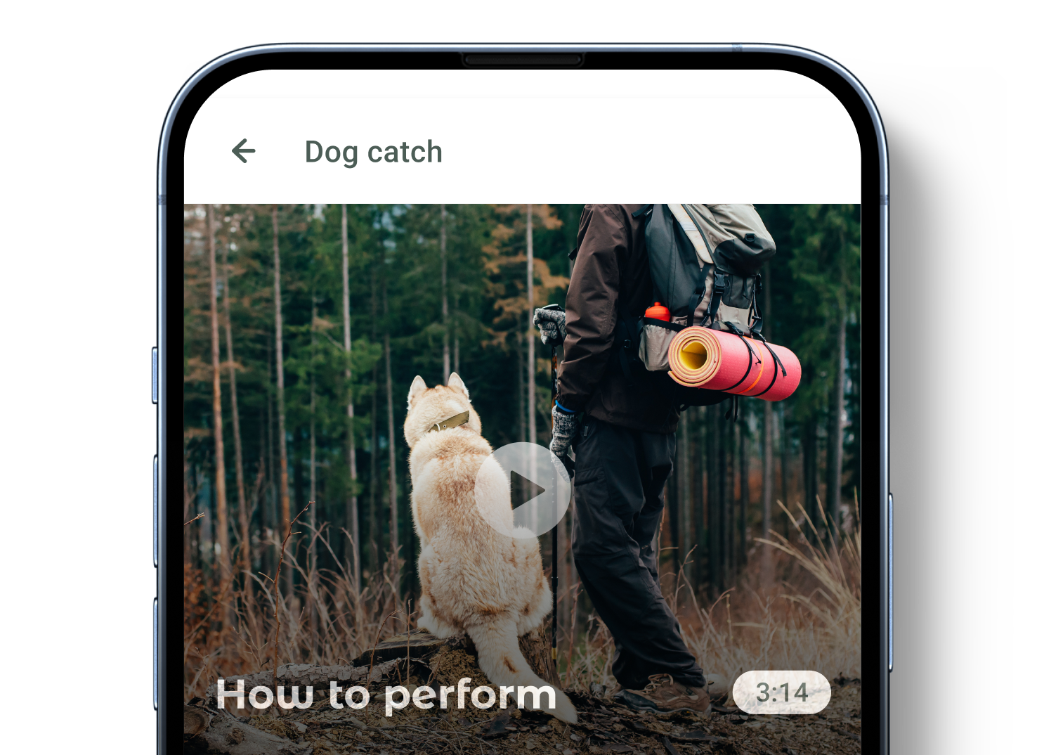 Get Dogo app