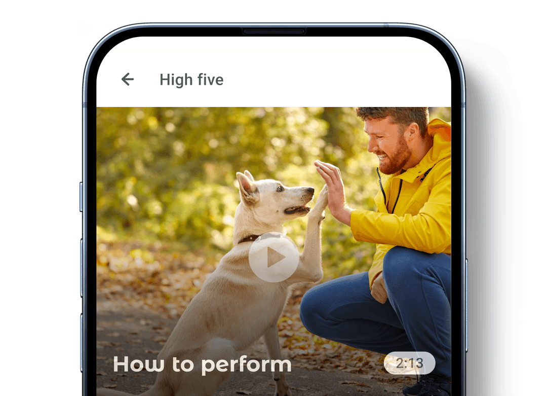 Get Dogo app