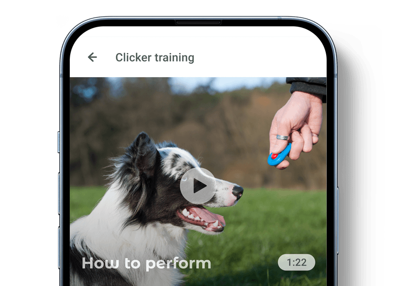 Get Dogo app