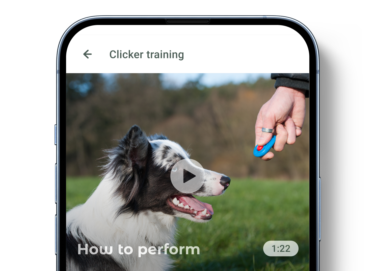 Get Dogo app