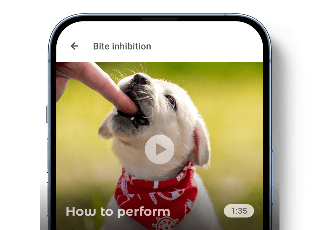 Get Dogo app