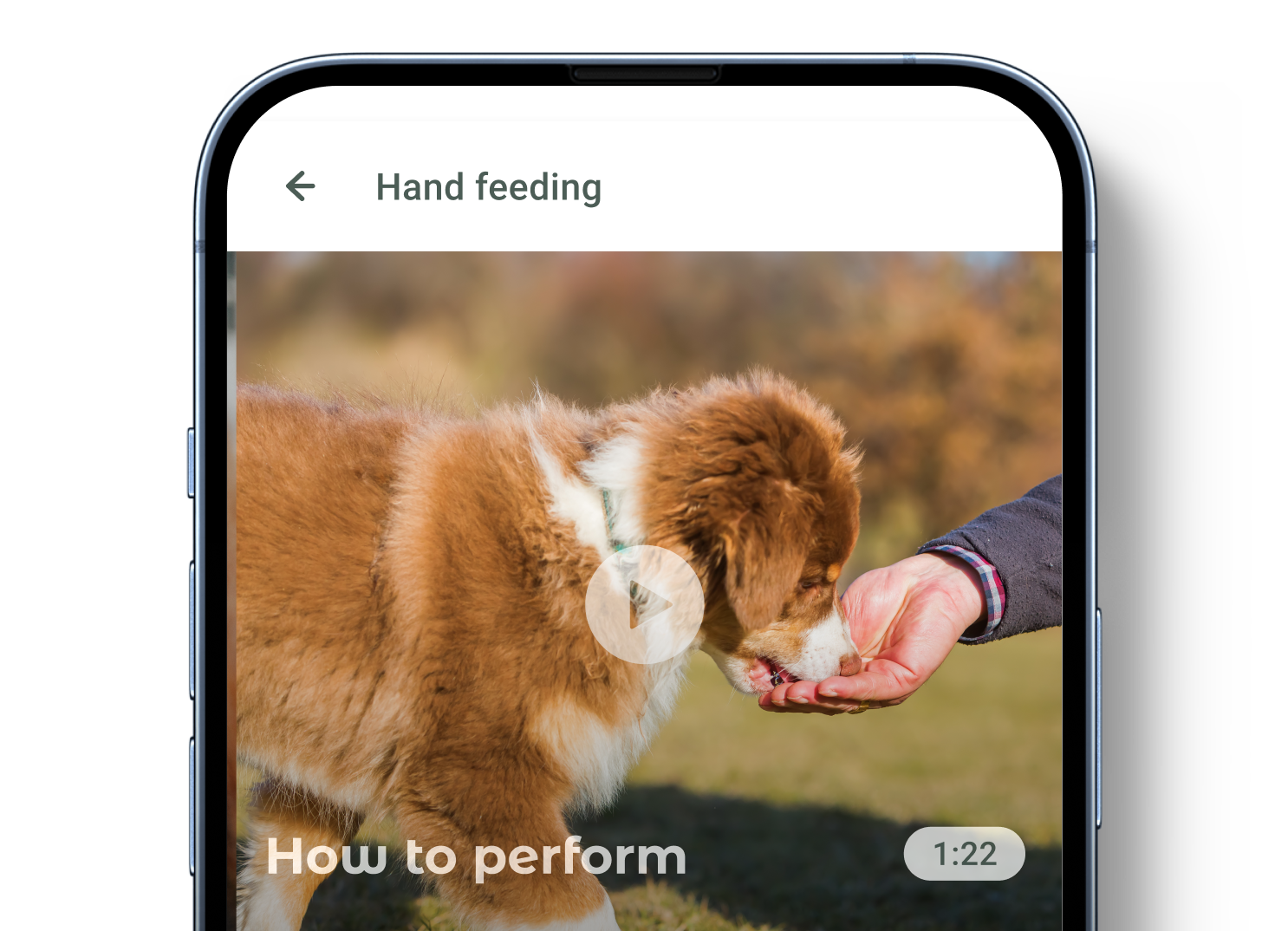 Get Dogo app