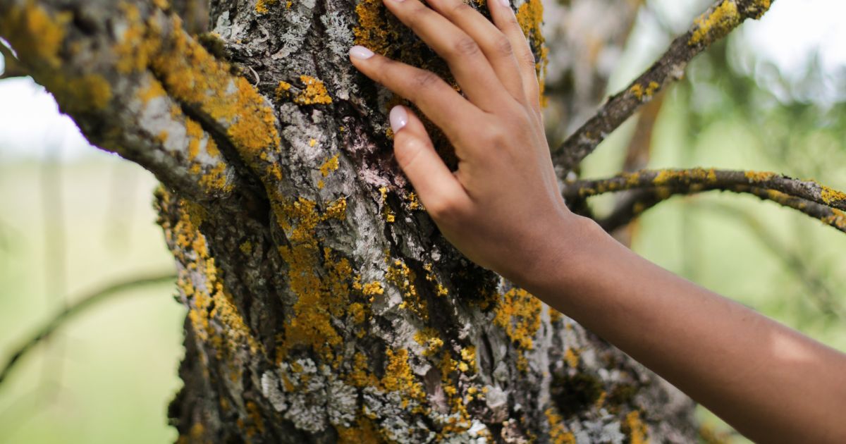 Fibromyalgia Rash | MoreGoodDays Pain-management Program