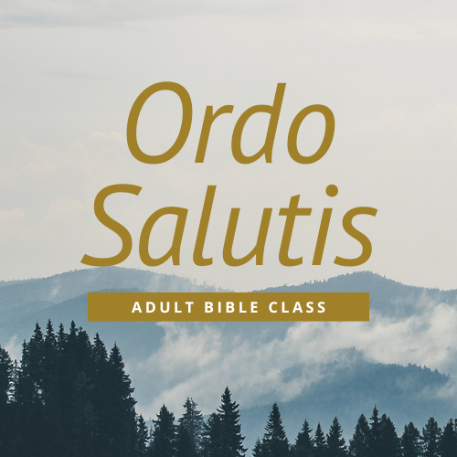 Series: Ordo Salutis – Trinity Bible Church of Dallas